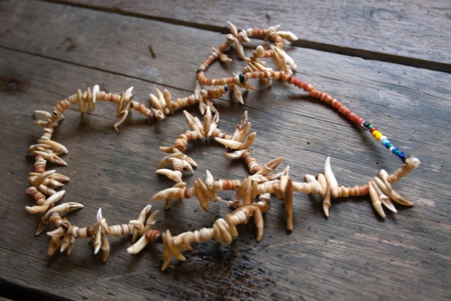 How to save giant tropical fruit bats: work with local hunters who use ...