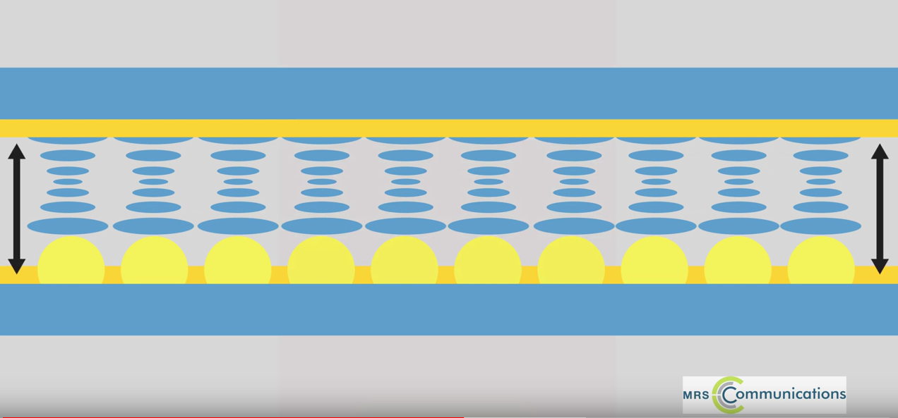Gold nanoparticle—liquid crystal thin film shows off photonic and ...