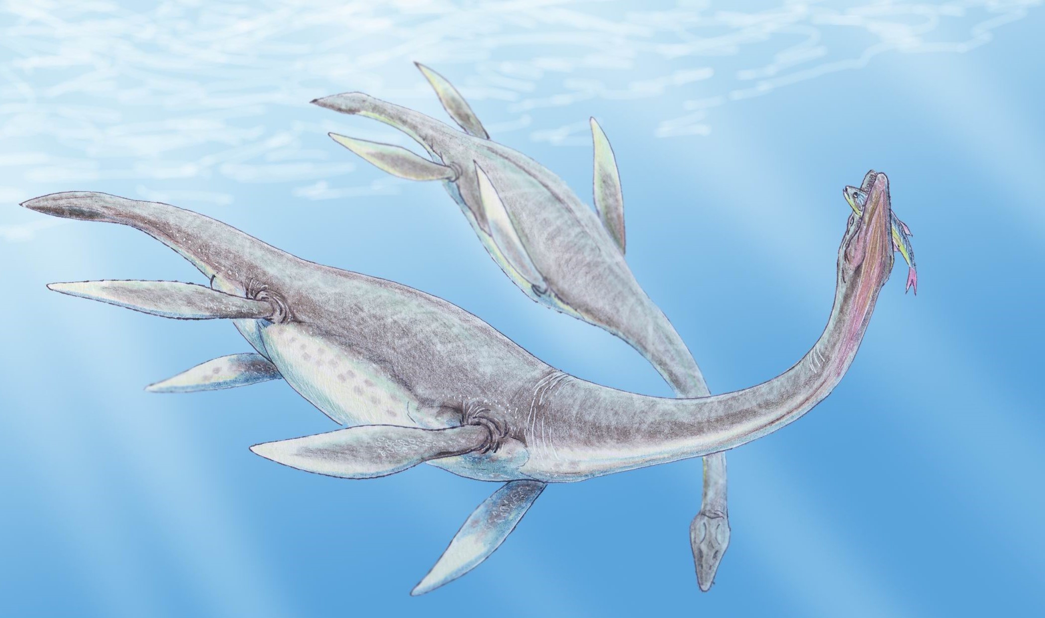 Watch: Underwater Robots based on the Loch Ness Monster « Mathematics ...