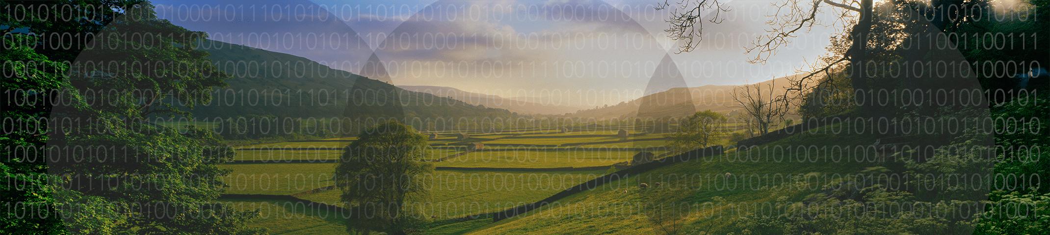 Environmental Data Science publishes its first papers! « Computer ...