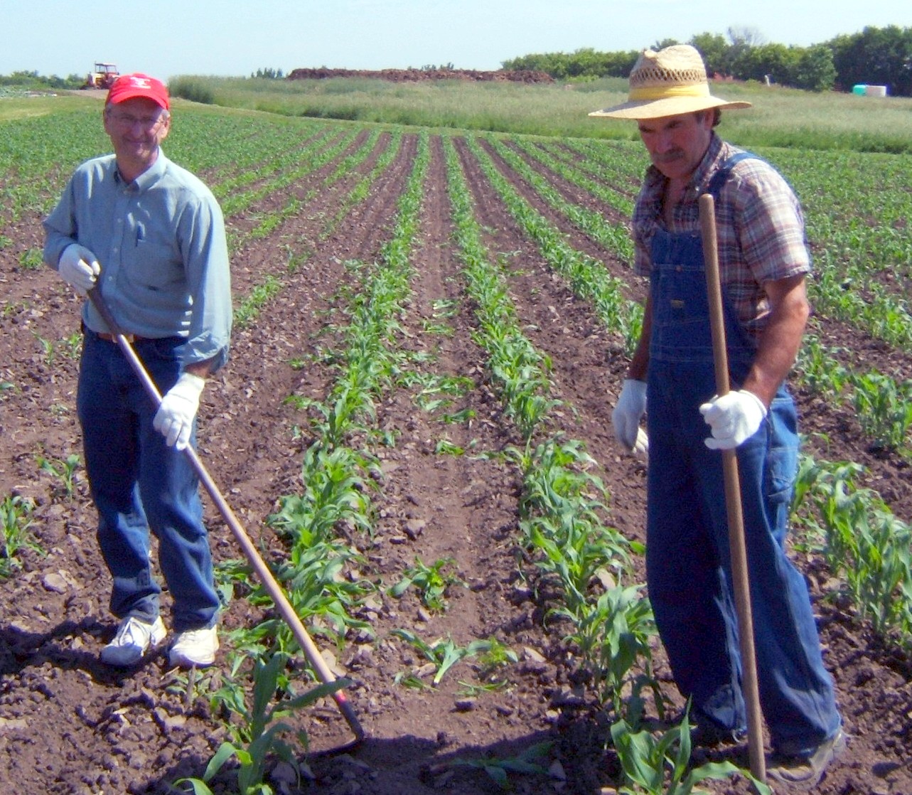 Many hands breed better crops « Agriculture & Animal Science ...