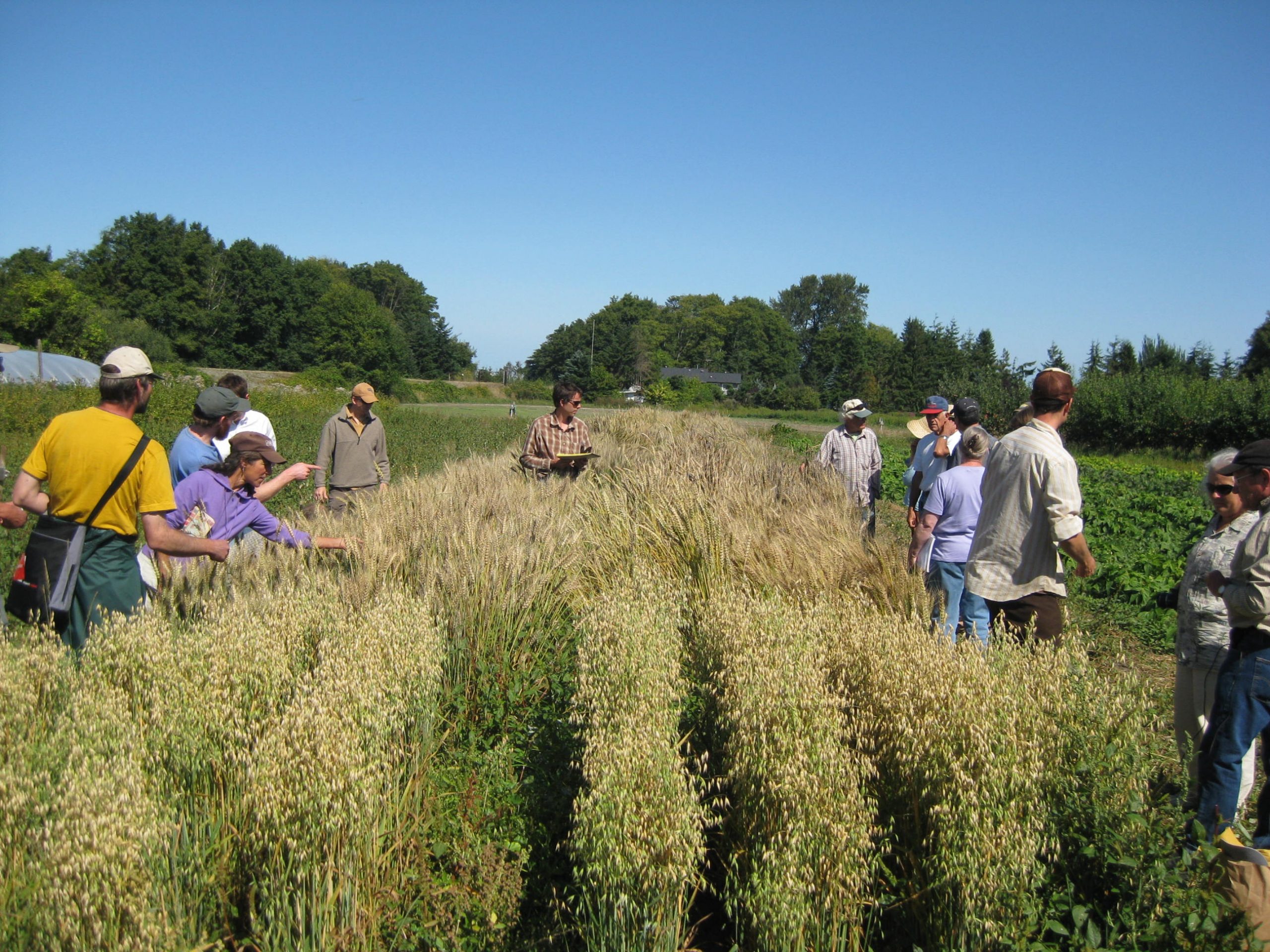 Many hands breed better crops « Agriculture & Animal Science ...