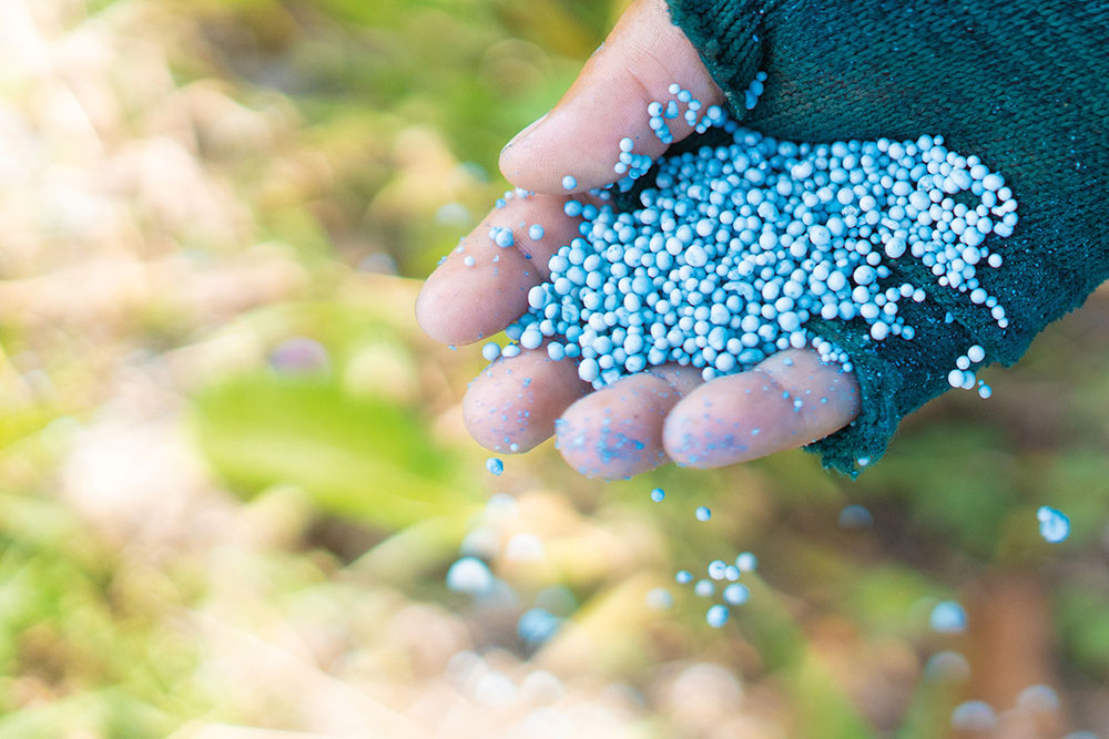 Protected Urea – Protecting the Environment and Delivering for Farmers ...