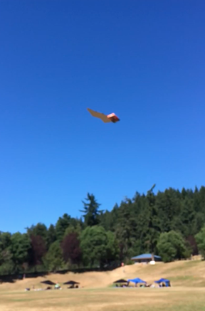 Stability criteria of Samara-like decelerator in unsteady transitions ...