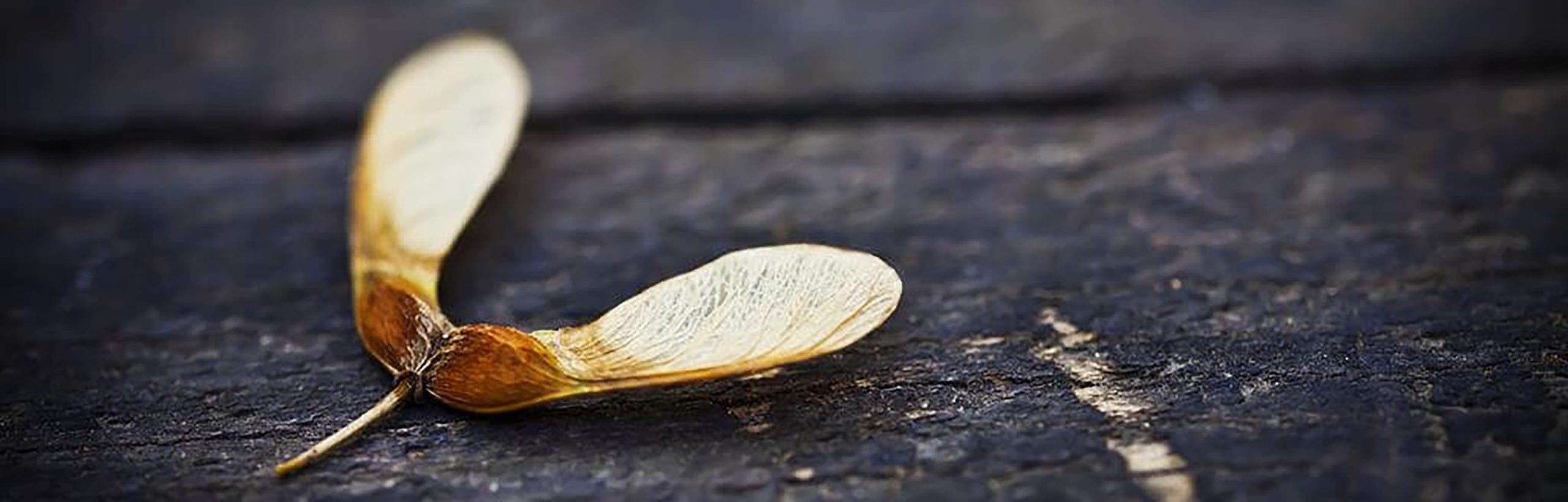 Stability criteria of Samara-like decelerator in unsteady transitions ...