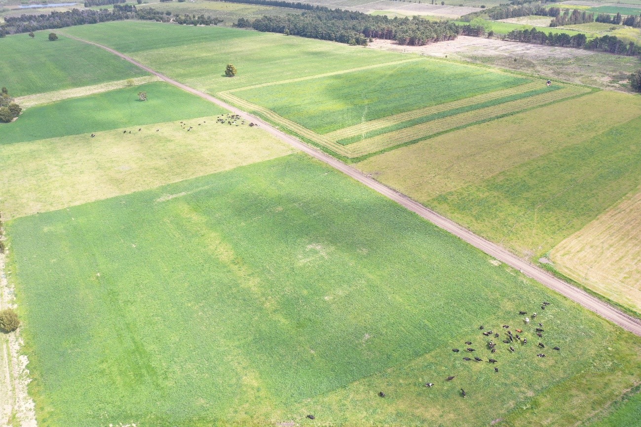 Monitoring herbage mass and pasture growth rate of large grazing areas ...