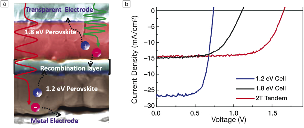 Research Highlights: Perovskites