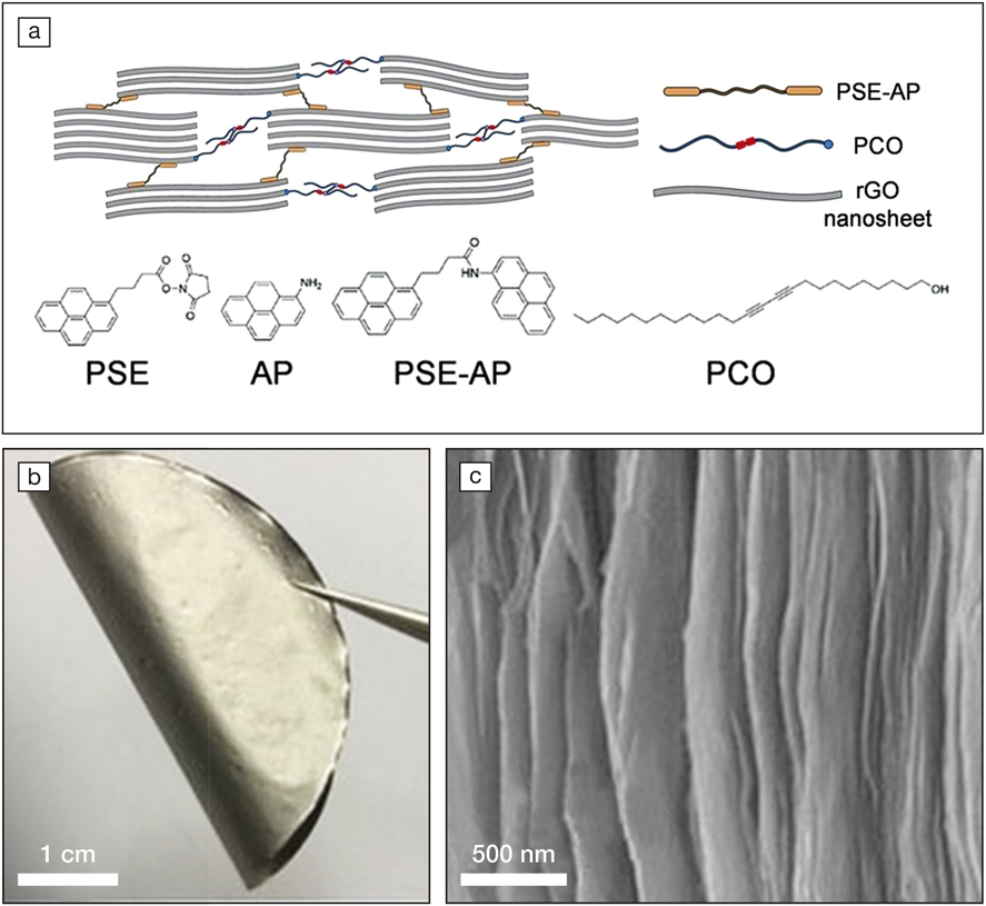 A new twist for spider dragline silk