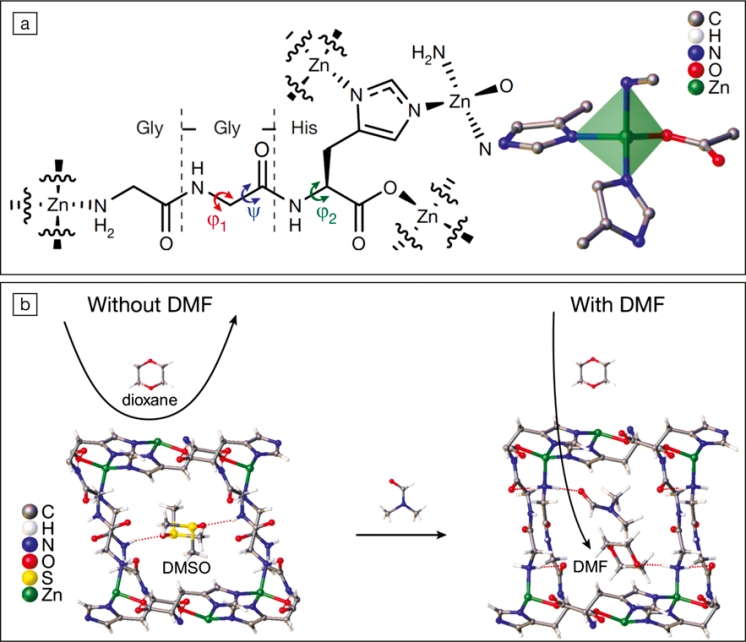 Peptide linkers soften metal–organic frameworks