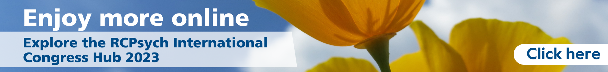 The Royal College of Psychiatrists