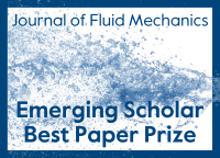 Emerging Scholar Best paper 2024