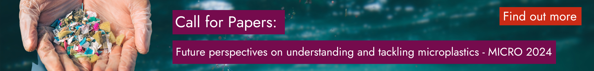 Future Perspectives on Understanding and Tackling Microplastics MICRO 2024