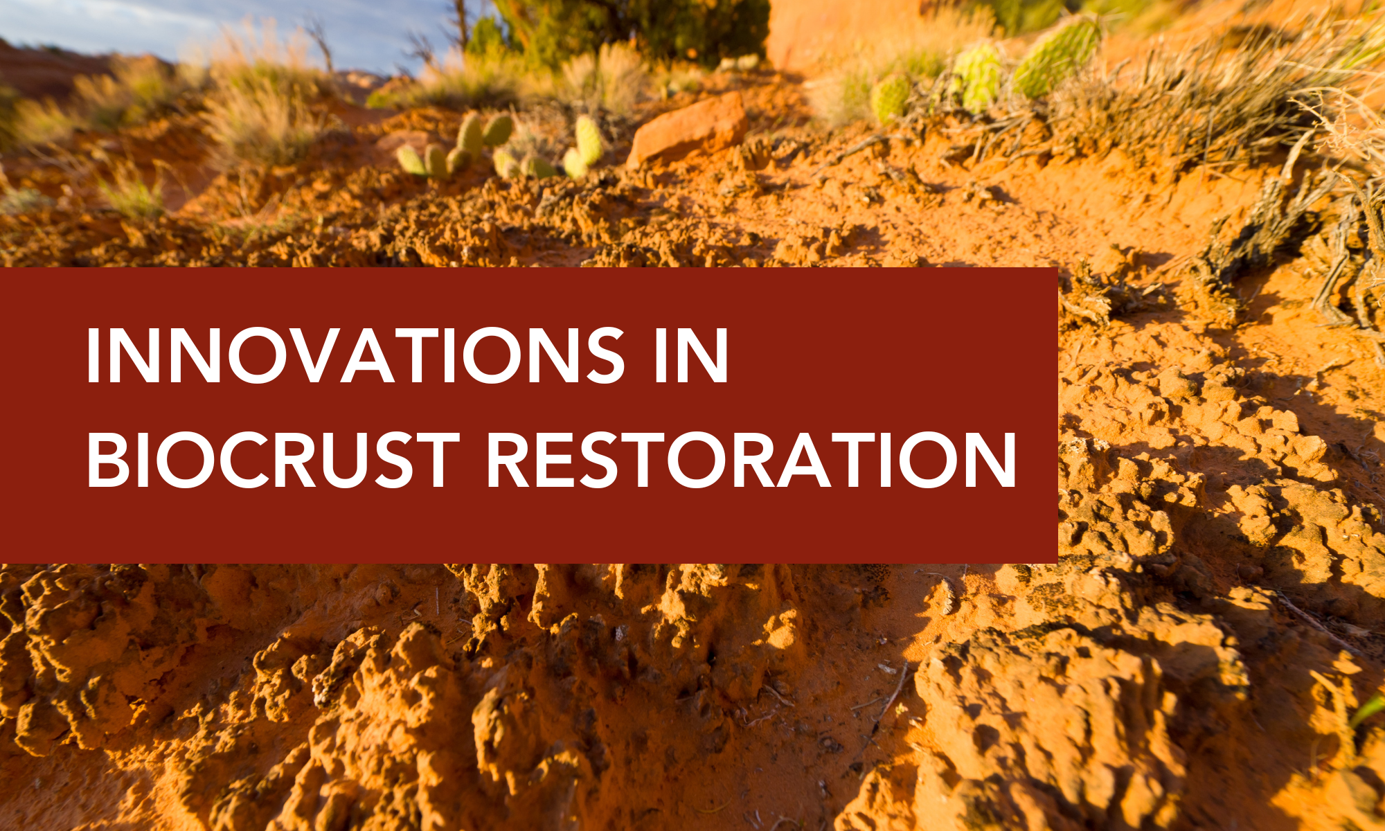 Innovations in biocrust restoration