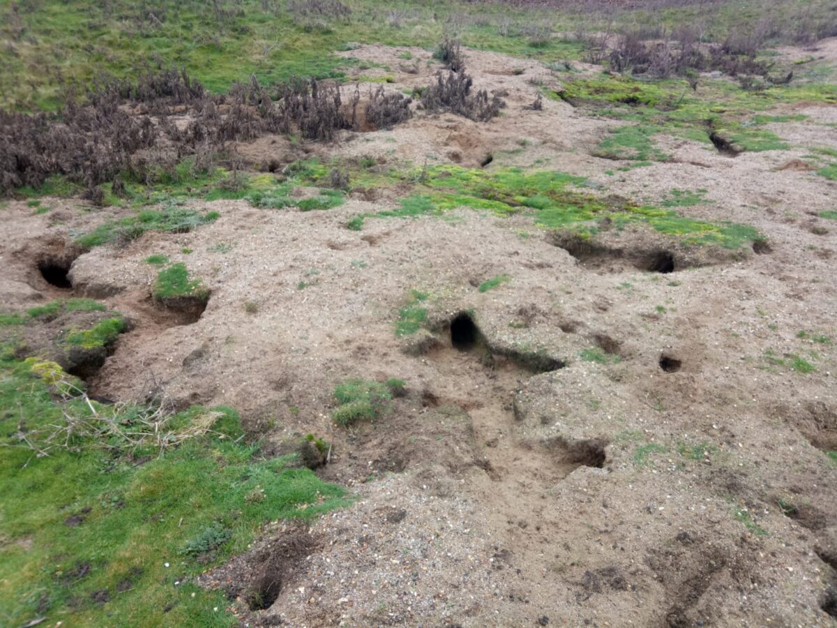 warren - World of Better Learning | Cambridge University Press