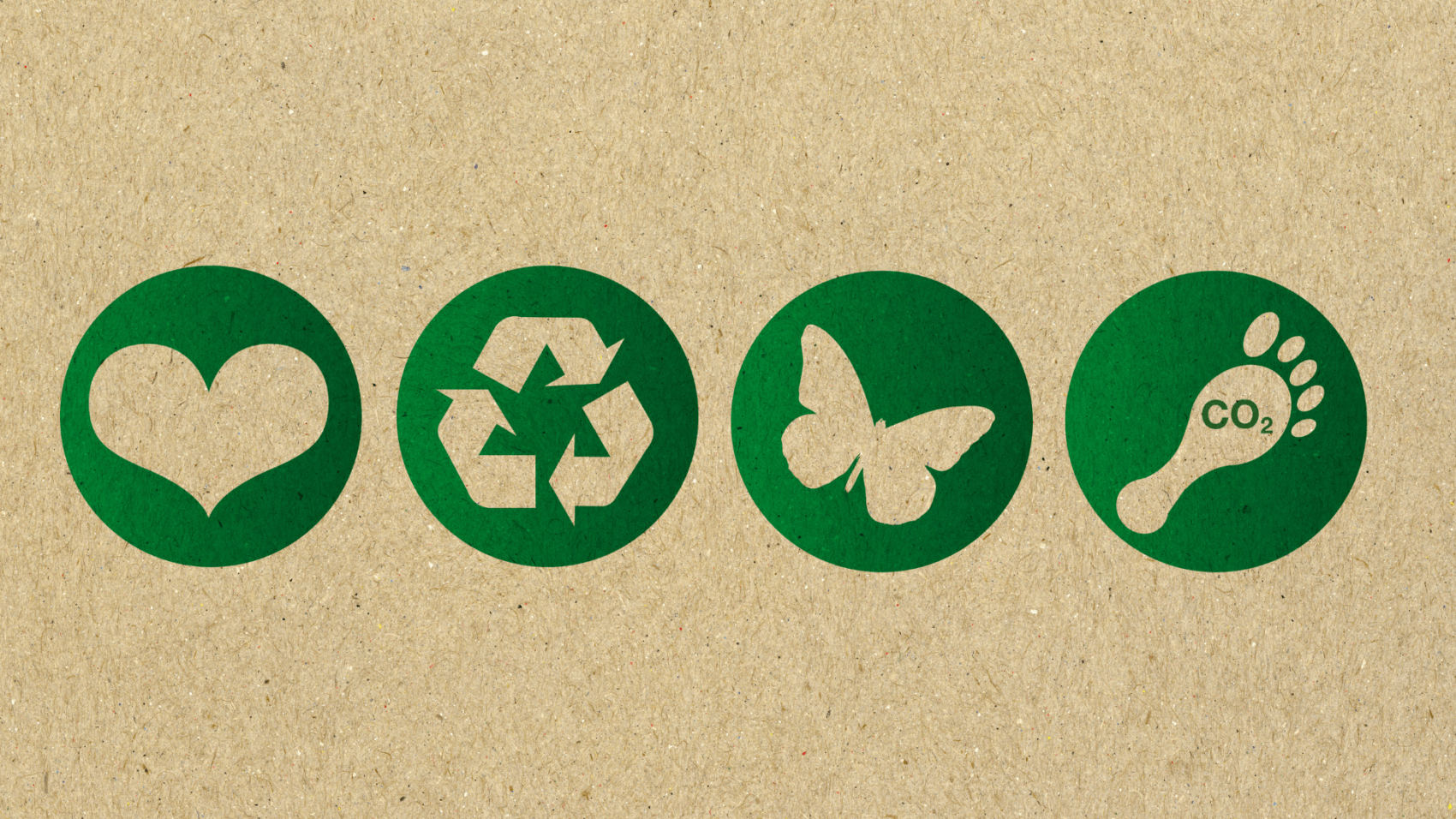 Lesson plan: teaching ecoliteracy to teens in the ELT classroom ...