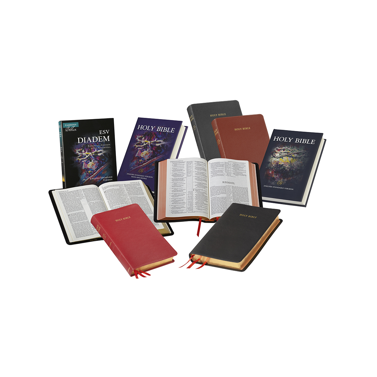 ESV Diadem Reference Edition | Cambridge University Press