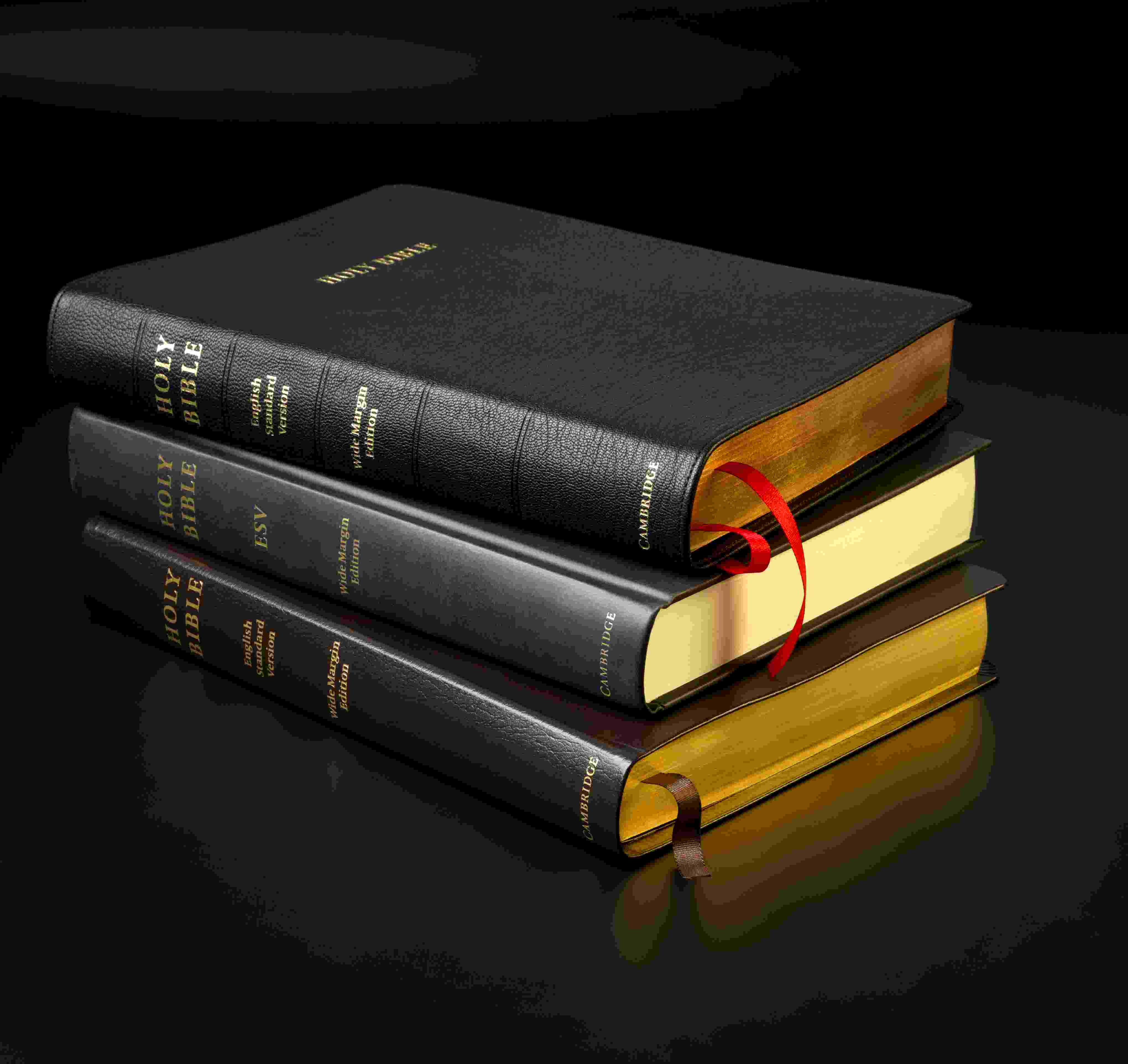 Recognizing a fine Bible