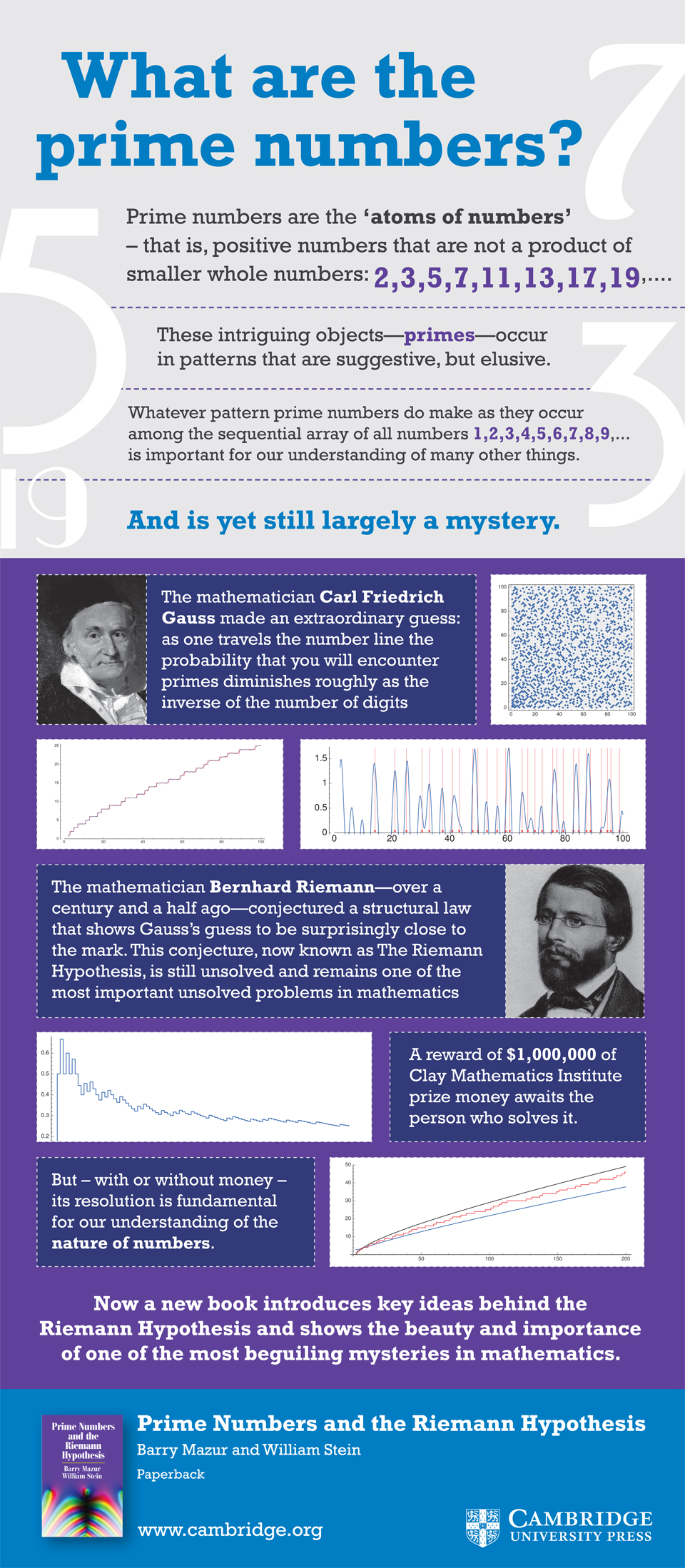 Prime Numbers and the Riemann Hypothesis Infographic | Cambridge ...