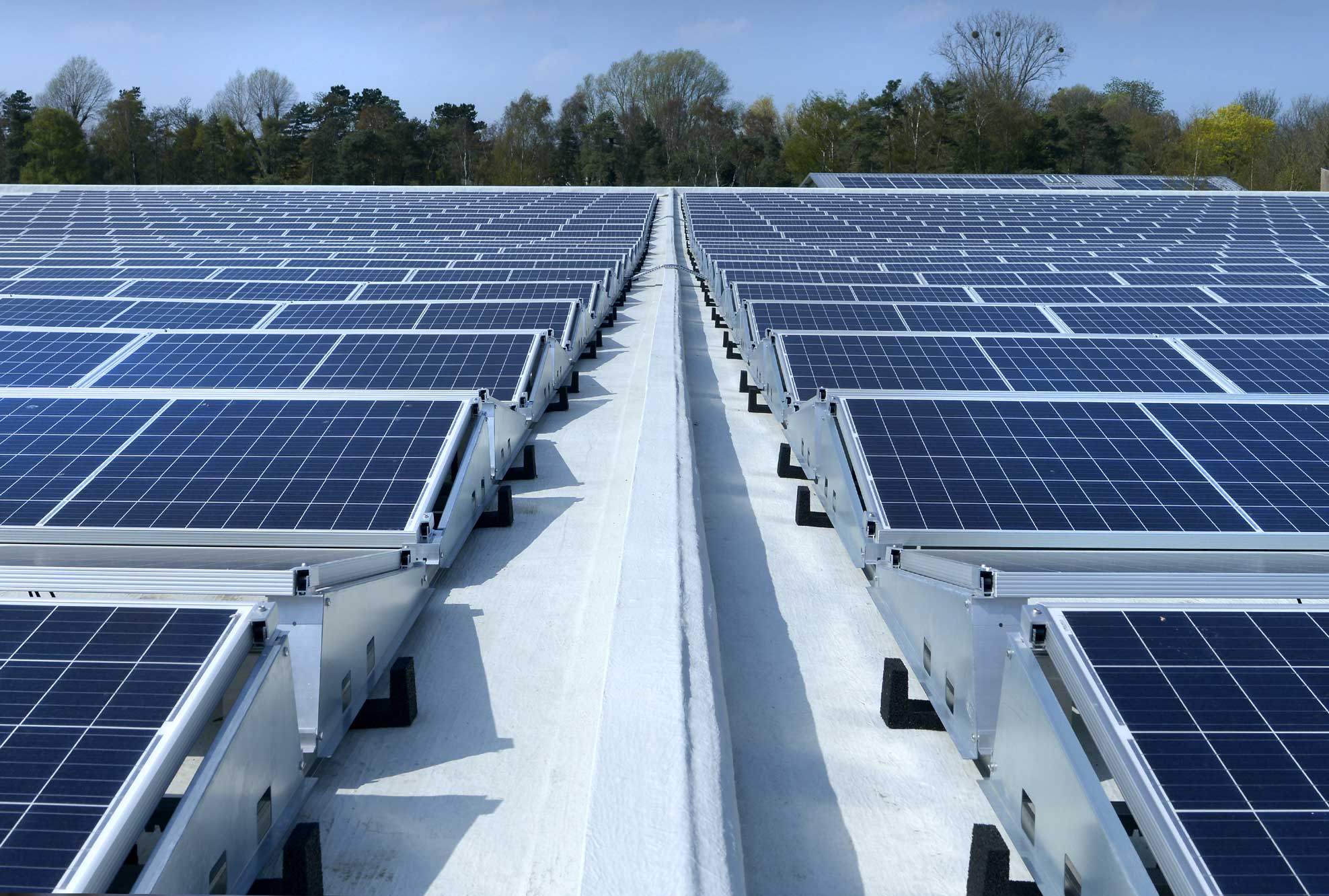 Progress | Cambridge University Press & Assessment